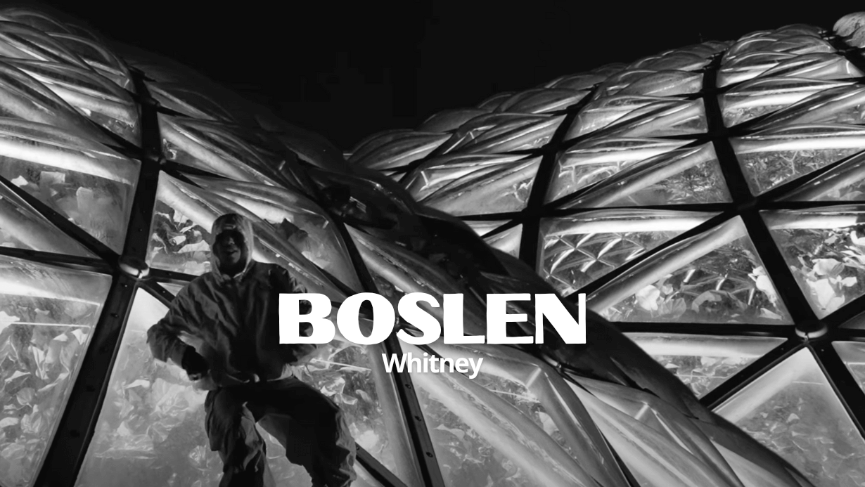 Boslen - Whitney | CHANNEL 11